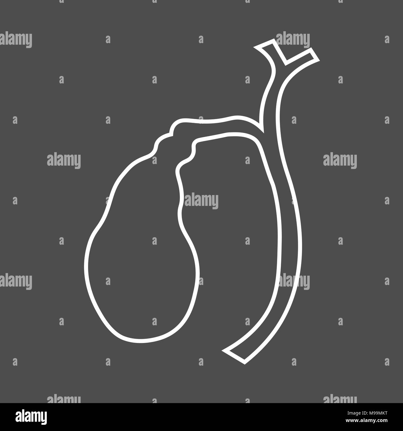 Digestive system diagram Black and White Stock Photos & Images - Alamy