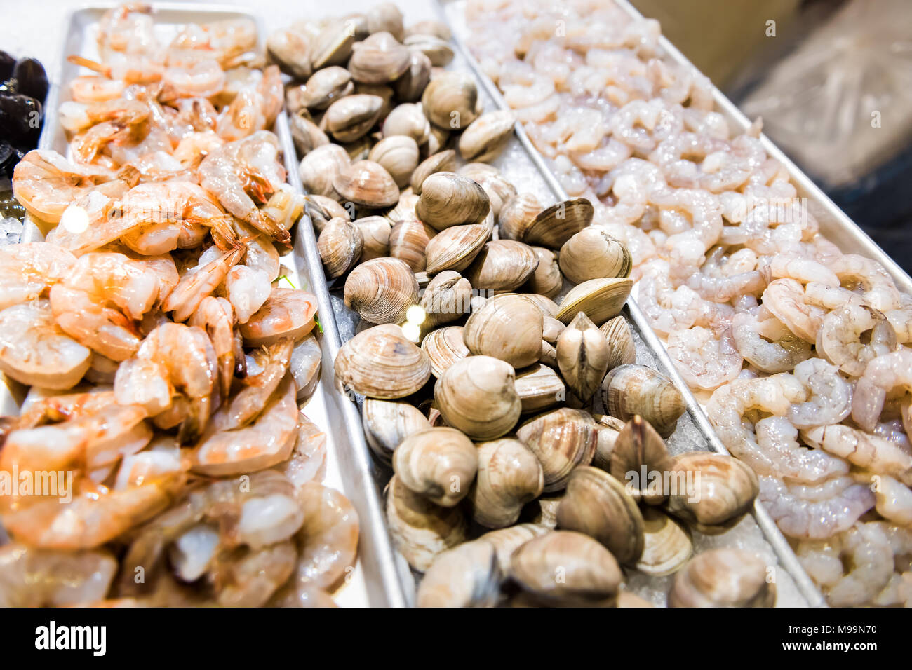 Closeup of large raw green clams shells shrimp crustacean prawns ...