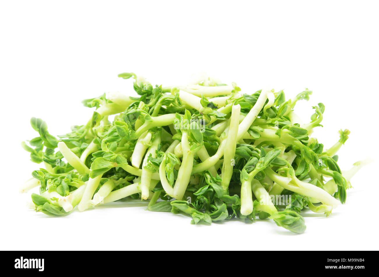 Fresh peanut sprouts isolated on white background Stock Photo - Alamy