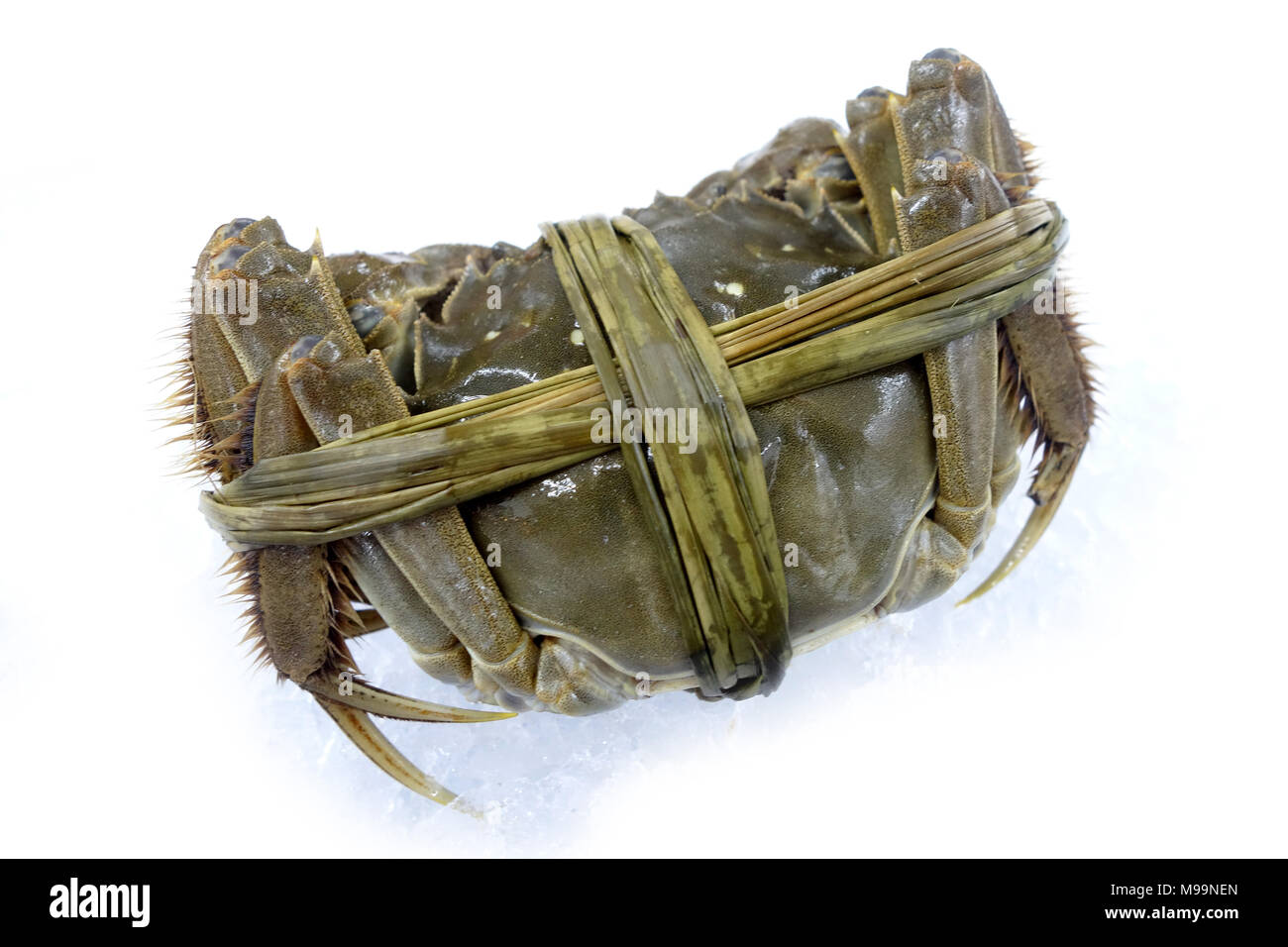 Raw shanghai hairy crab isolated on white background Stock Photo - Alamy