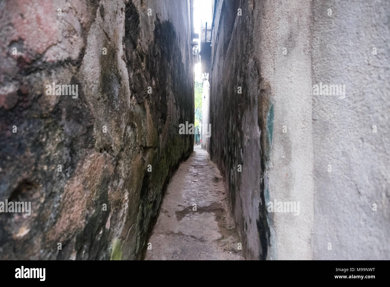 A shabby blue painted alleyway in Essaouria, Morocco Stock Photo - Alamy