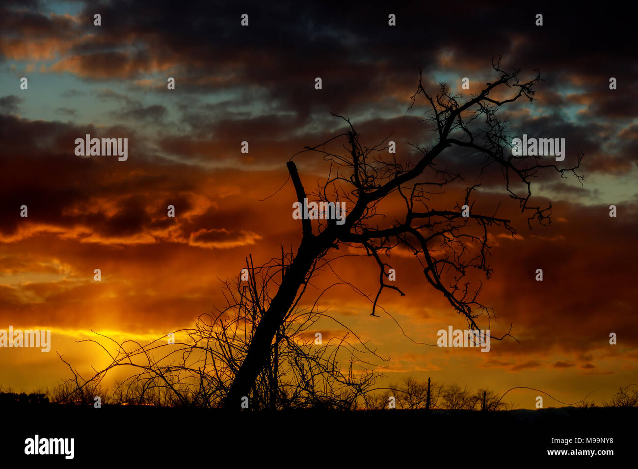 Spectacular Suburban Sunset sky in the relief day and night Stock Photo ...
