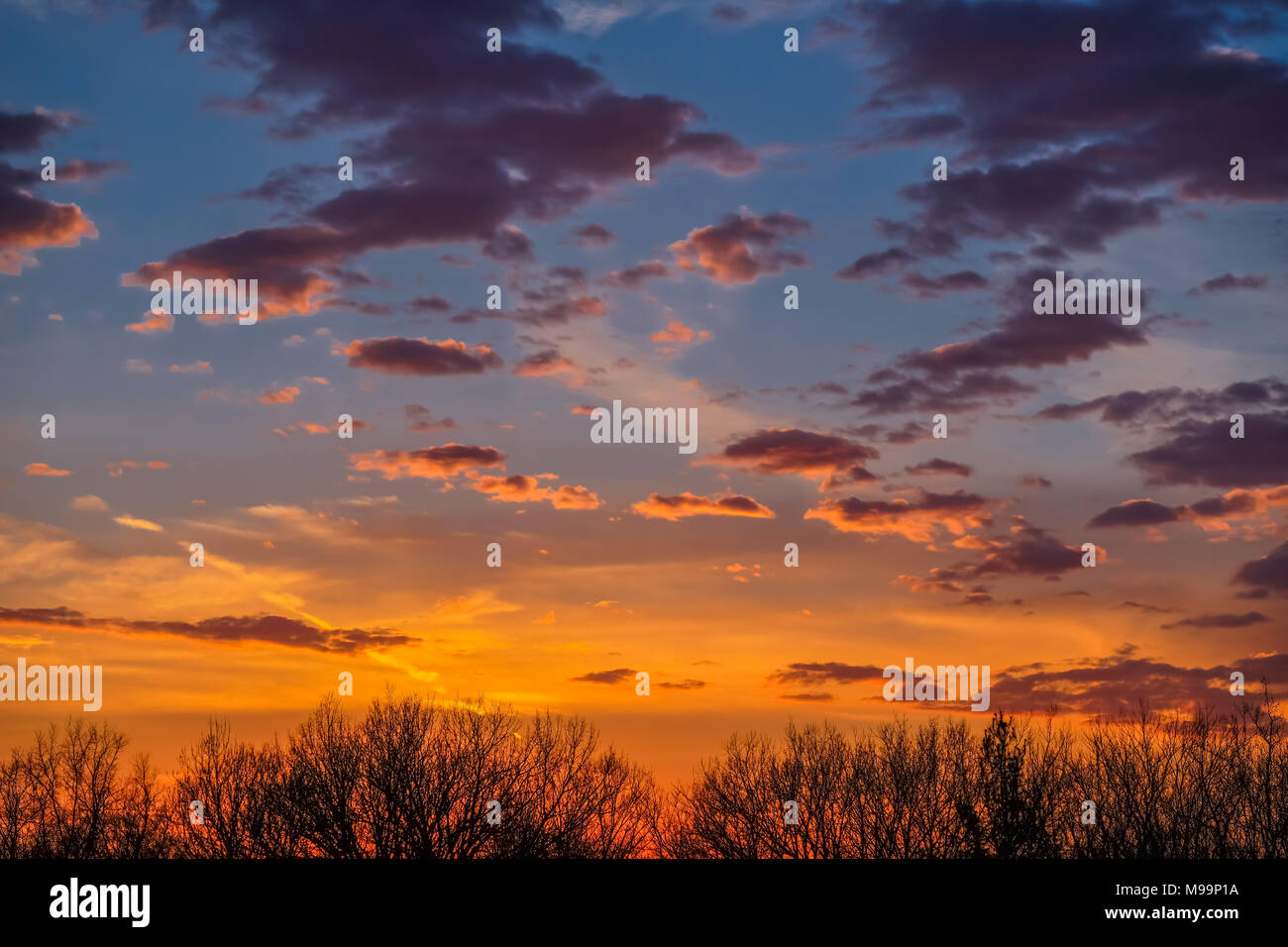 View of a Midwestern sunset; blue cloudy sky above, red zodiacal light ...