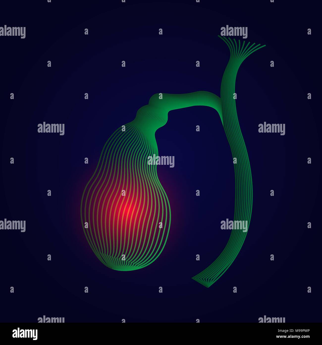Illustration of Human gallbladder with pain center. 3D human organ ...
