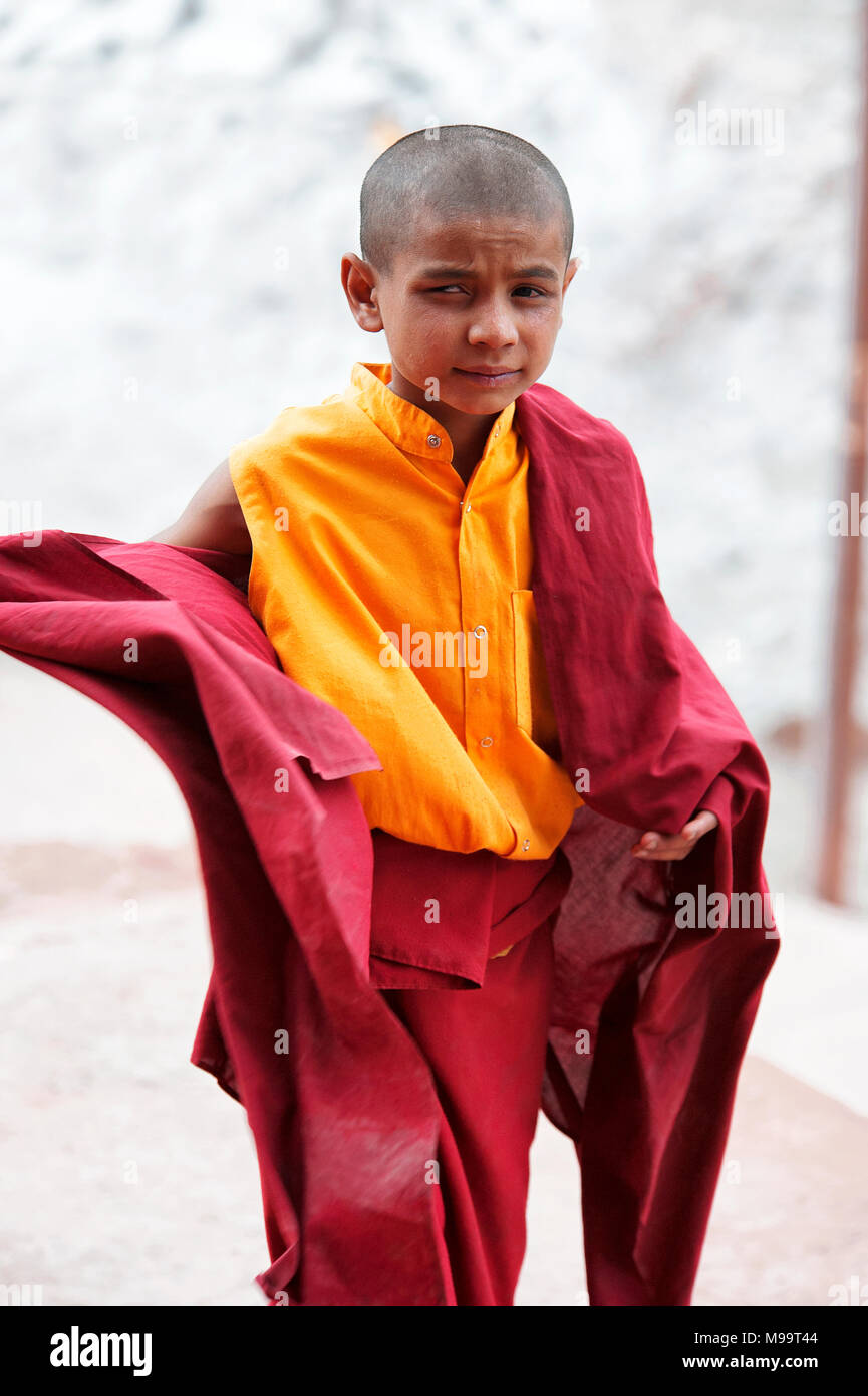 Tibetan Monk Boy