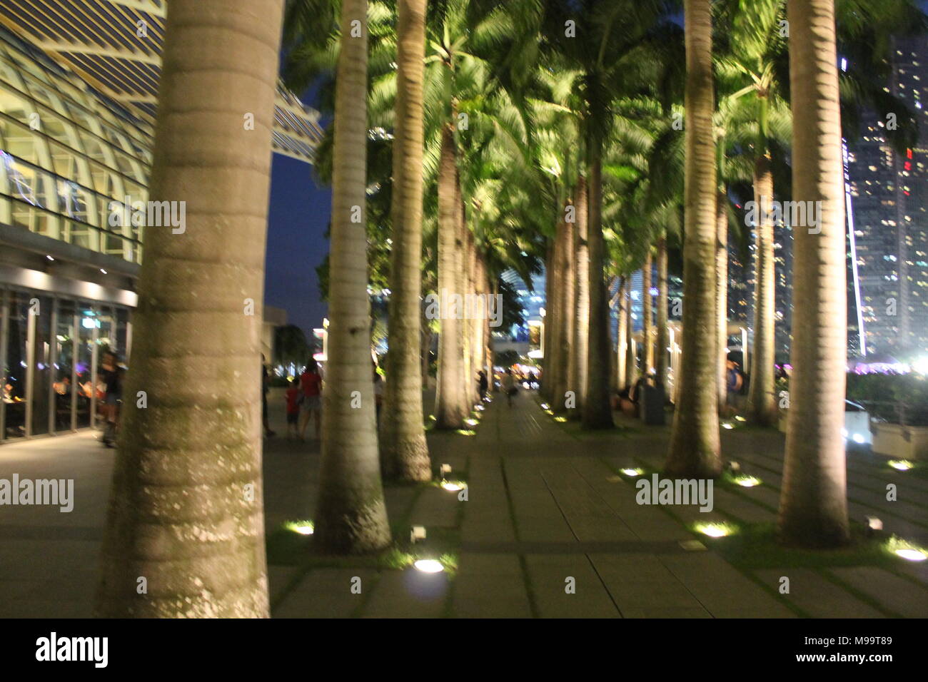 Empty promenade with night lamps, Singapore, Marina Bay Stock Photo - Alamy