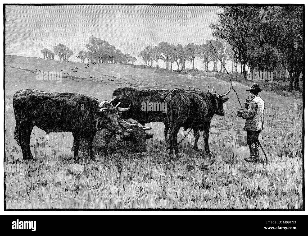 Victorian 19th century farming hi-res stock photography and images - Alamy