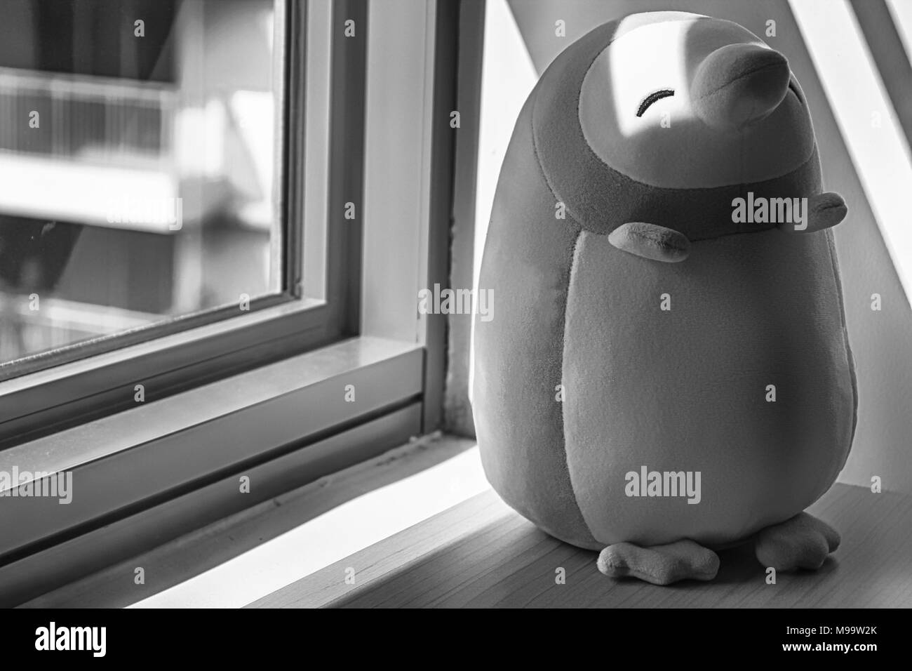 Penguin game Black and White Stock Photos & Images - Alamy