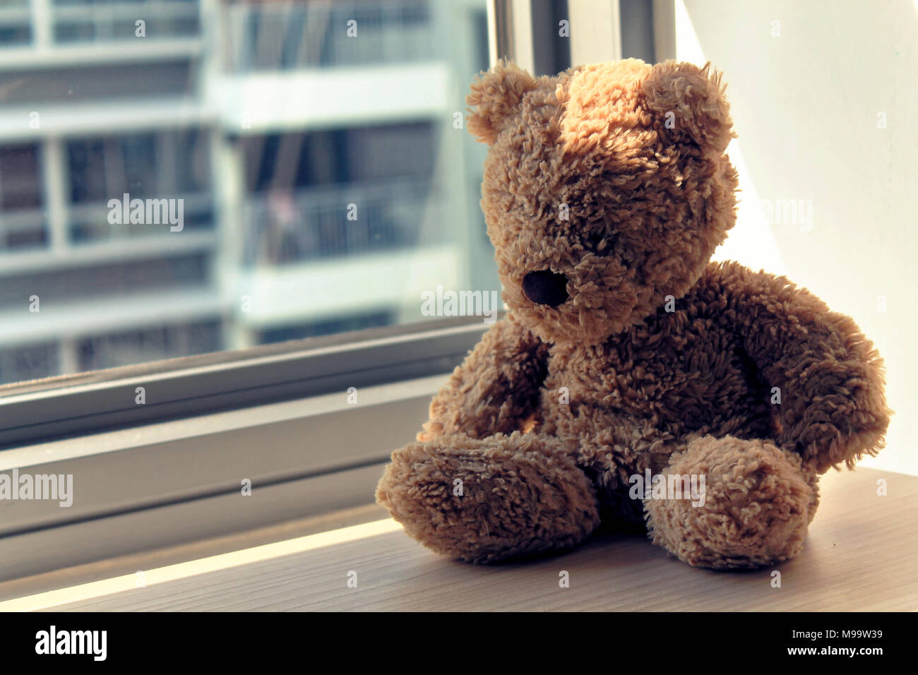 Brown Bear toy sitting by the window in shadows Stock Photo - Alamy