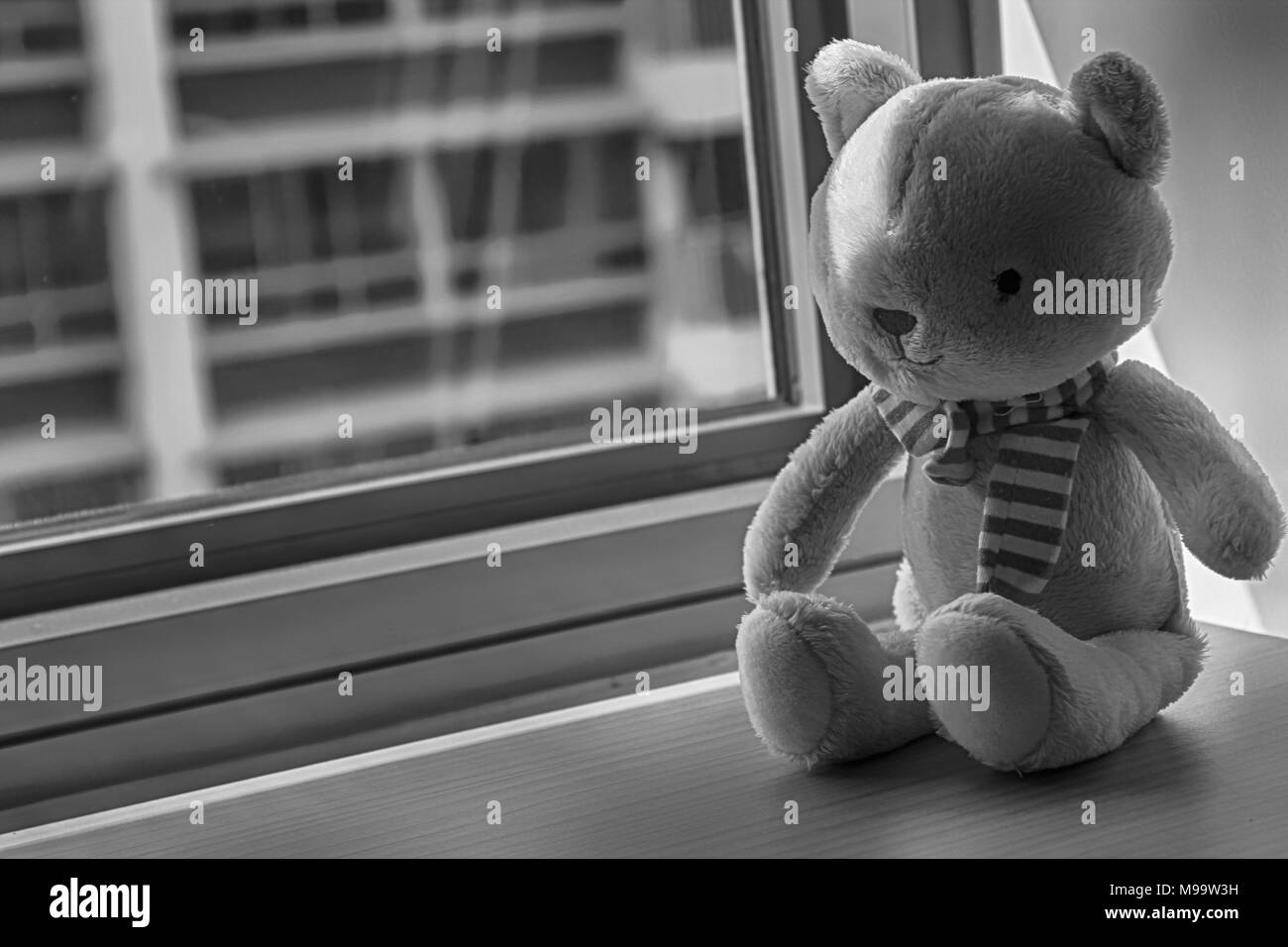 Kitten gift Black and White Stock Photos & Images - Alamy