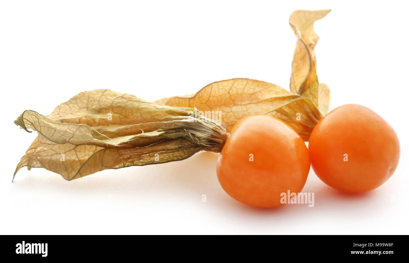 Fresh edible physalis over white background Stock Photo - Alamy