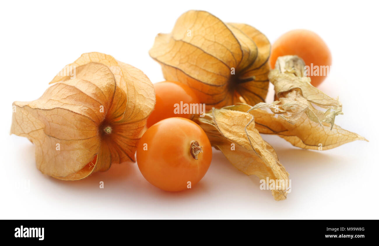 Fresh edible physalis over white background Stock Photo - Alamy