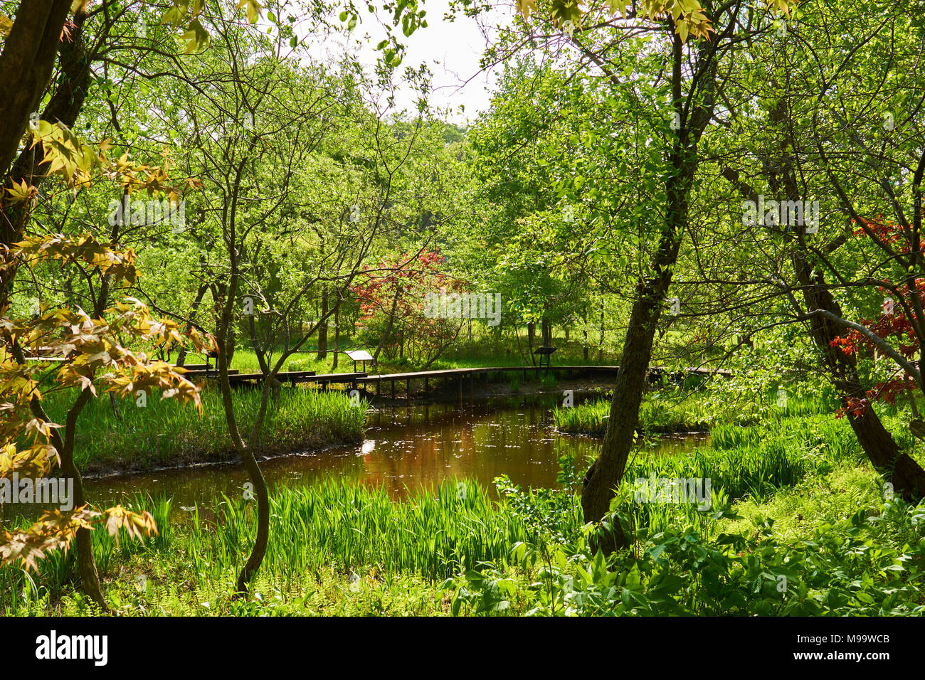 Pyunngang botanical garden hi-res stock photography and images - Alamy