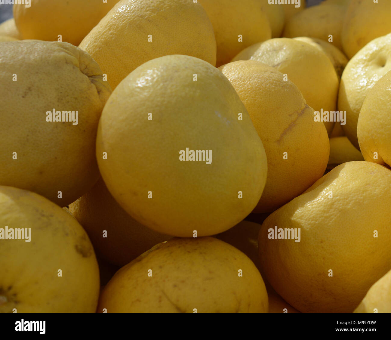 Oro blanco citrus available at a farmers market. Sweetie is a sweet ...