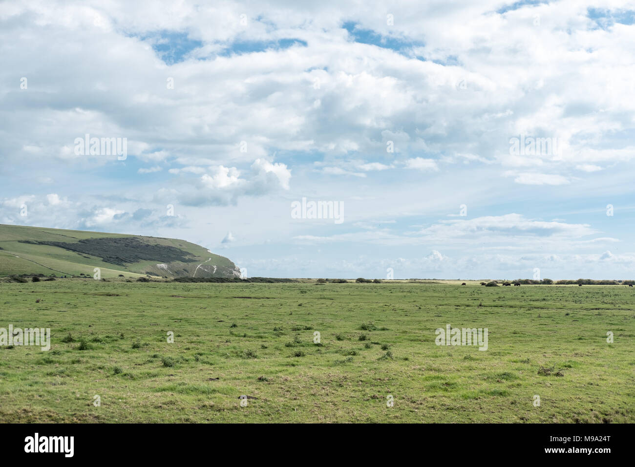Between the towns of seaford and eastbourne in southern england hi-res ...