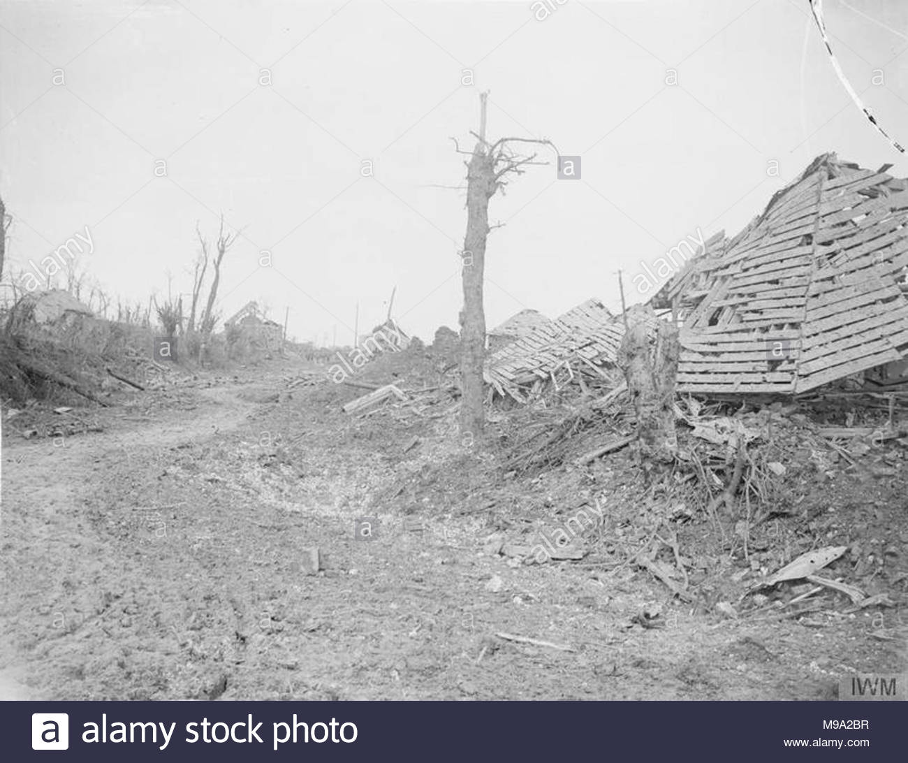 Battle Of Flers Courcelette Stock Photos & Battle Of Flers Courcelette ...