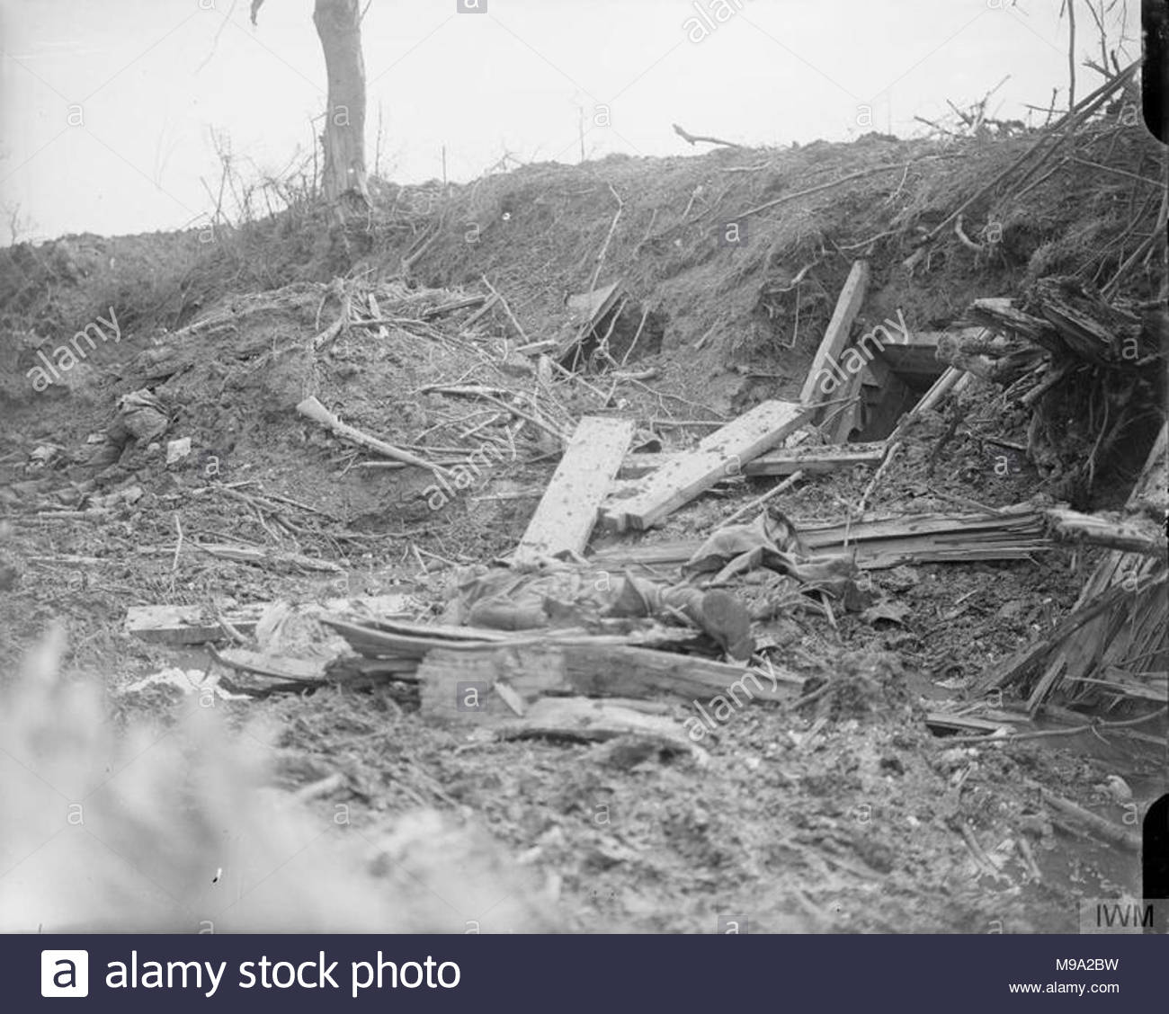 Battle Of Flers Courcelette Stock Photos & Battle Of Flers Courcelette ...