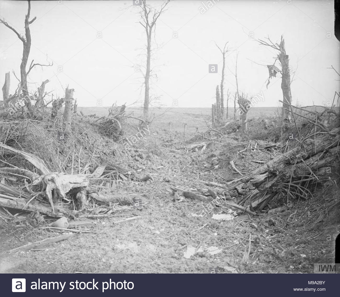Battle Of Flers Courcelette Stock Photos & Battle Of Flers Courcelette ...