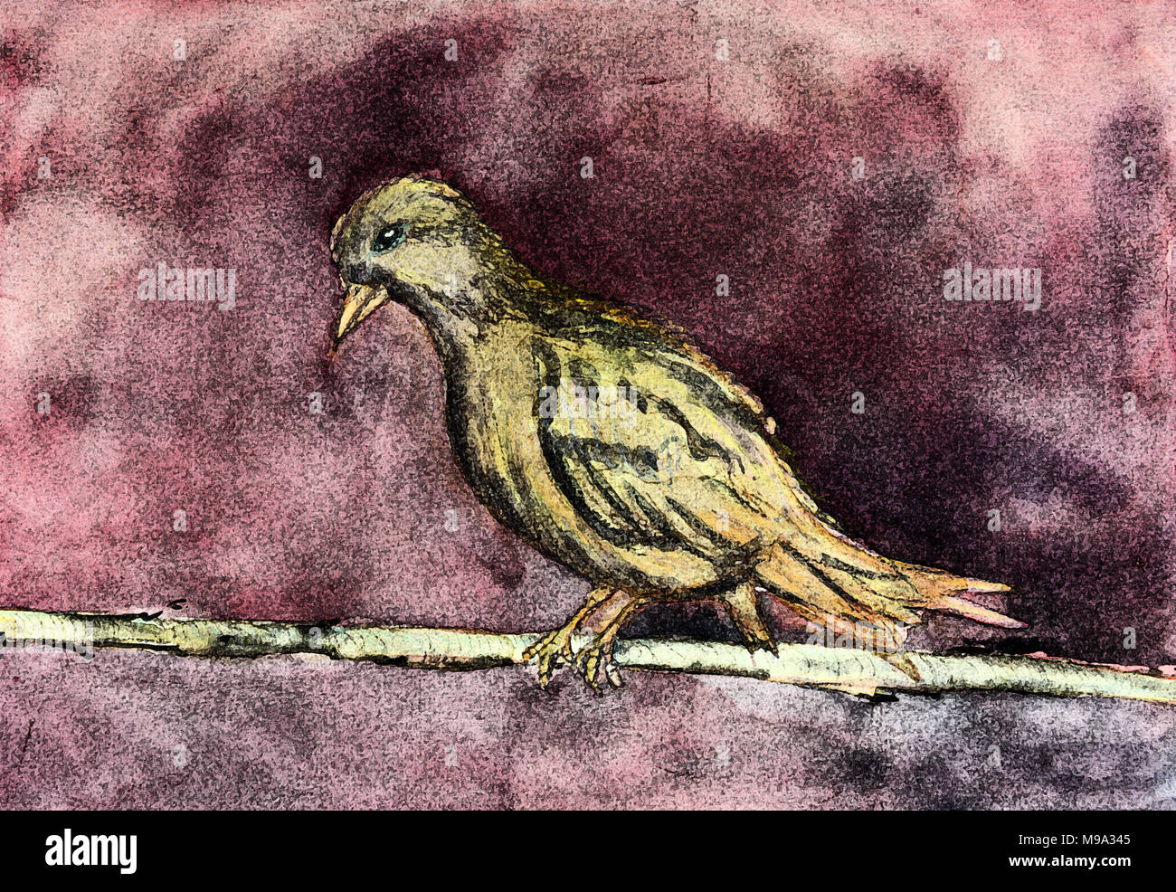 Rustic yellow dove on a branch with wine red background. The dabbing ...