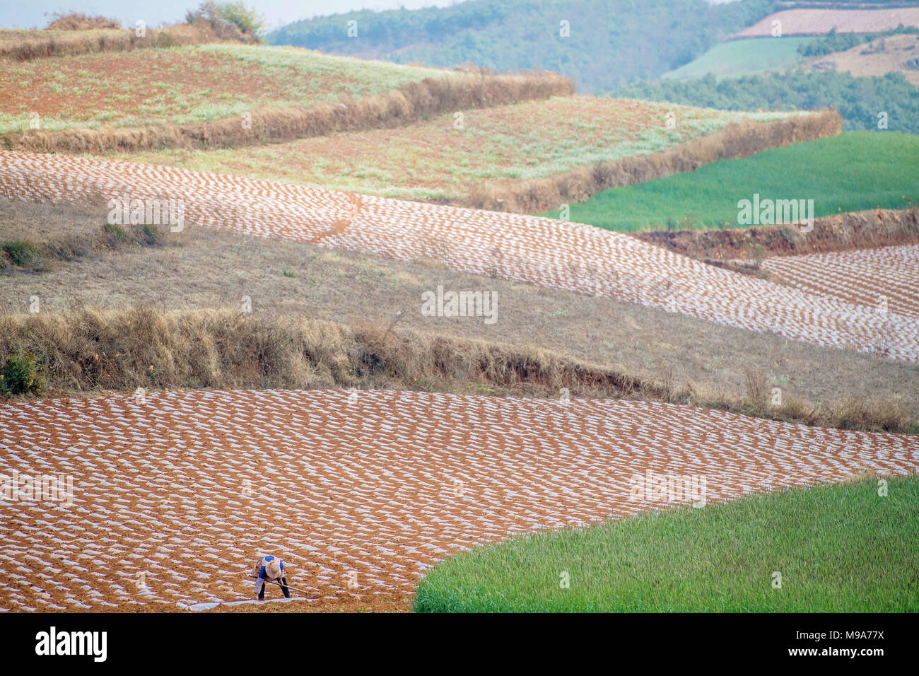 Kunming, China's Yunnan Province. 23rd Mar, 2018. A farmer works in the ...