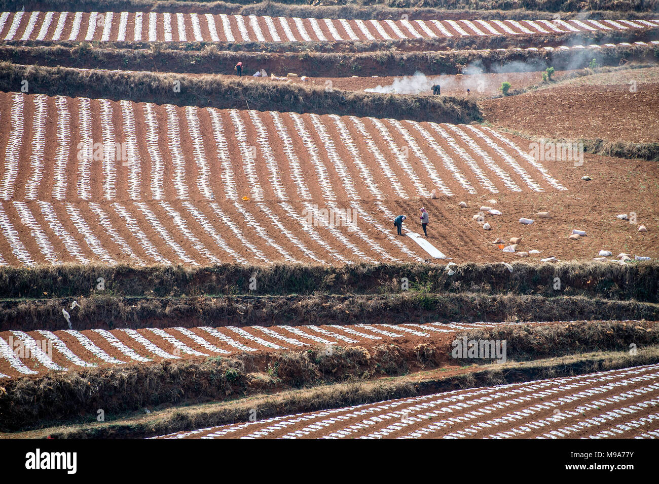 Kunming, China's Yunnan Province. 23rd Mar, 2018. Farmers work in the ...