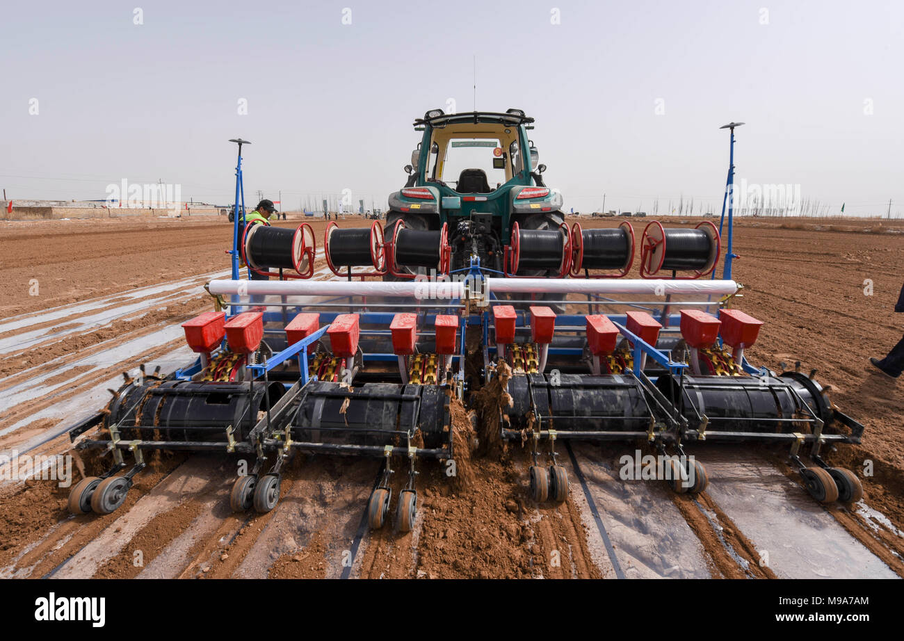 Kuqa, China's Xinjiang Uygur Autonomous Region. 23rd Mar, 2018. A self ...