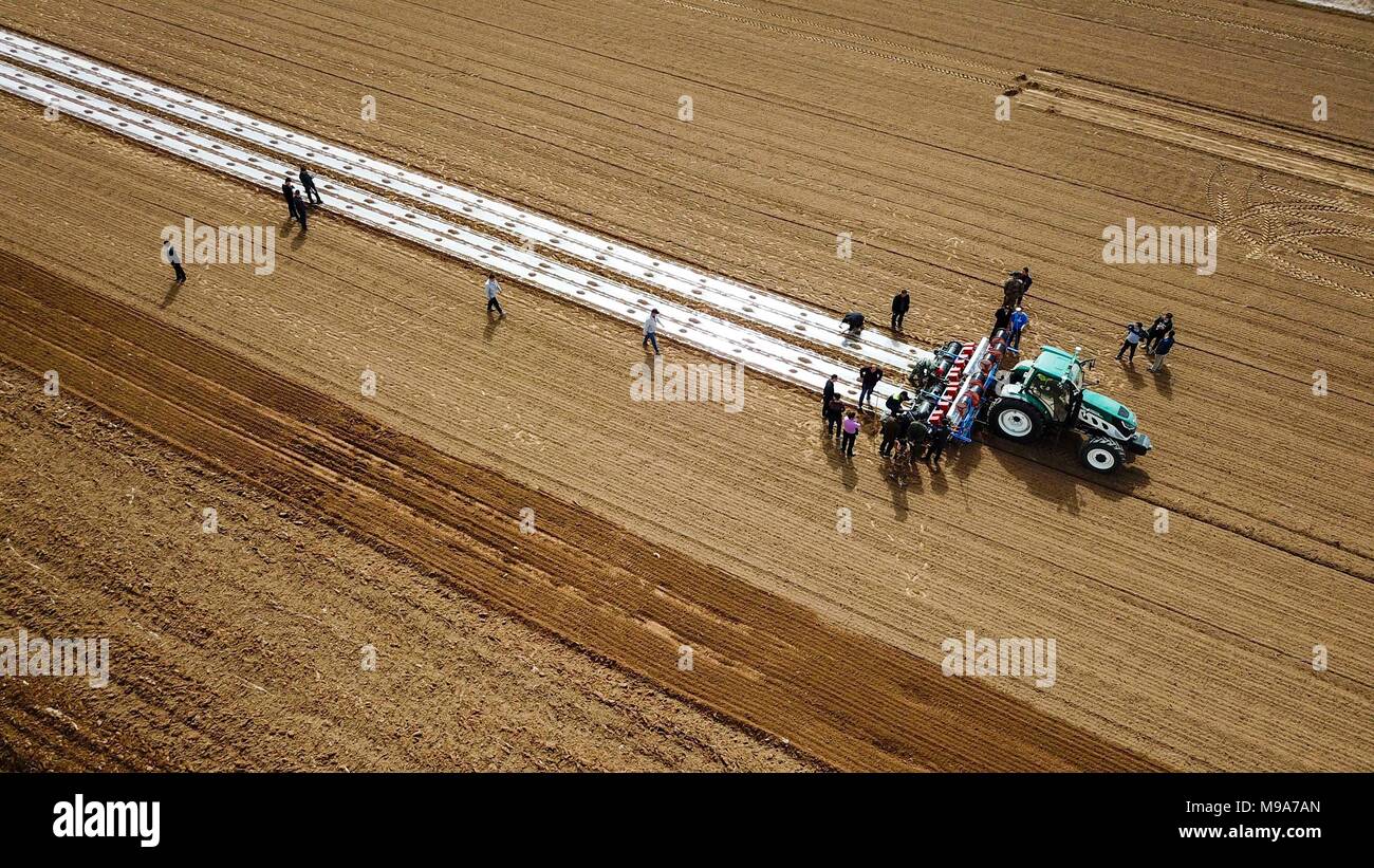 Automatic sowing of seeds hi-res stock photography and images - Alamy