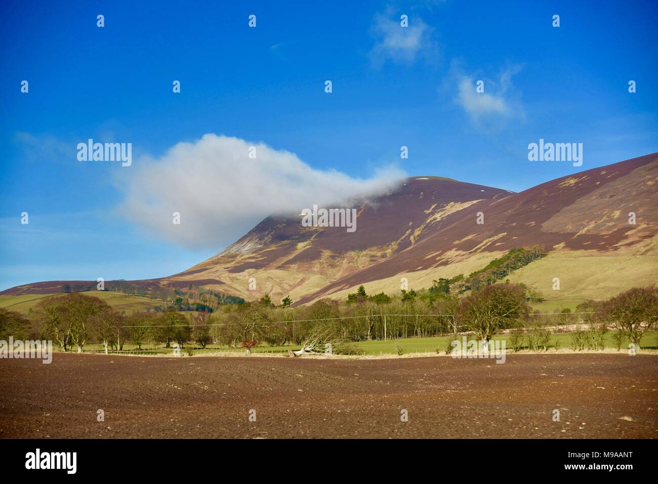 Symington hi-res stock photography and images - Alamy