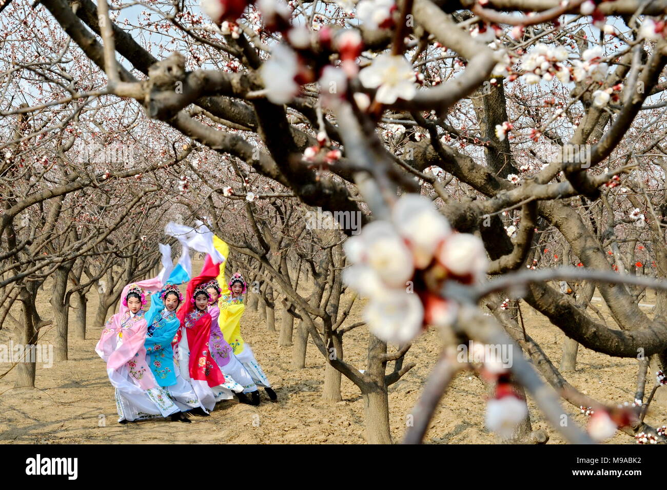 Xingtai, China's Hebei Province. 24th Mar, 2018. People pose during a ...