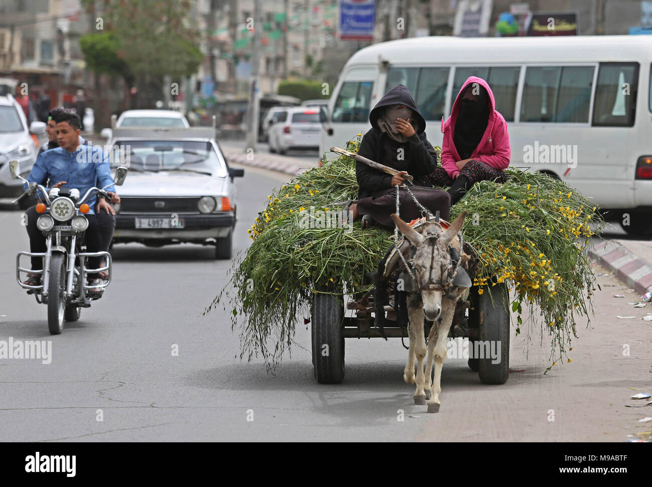 Ash cart hi-res stock photography and images - Alamy
