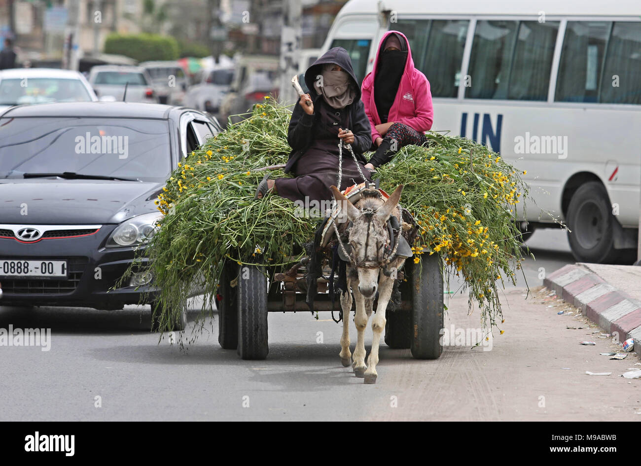 Ash cart hi-res stock photography and images - Alamy