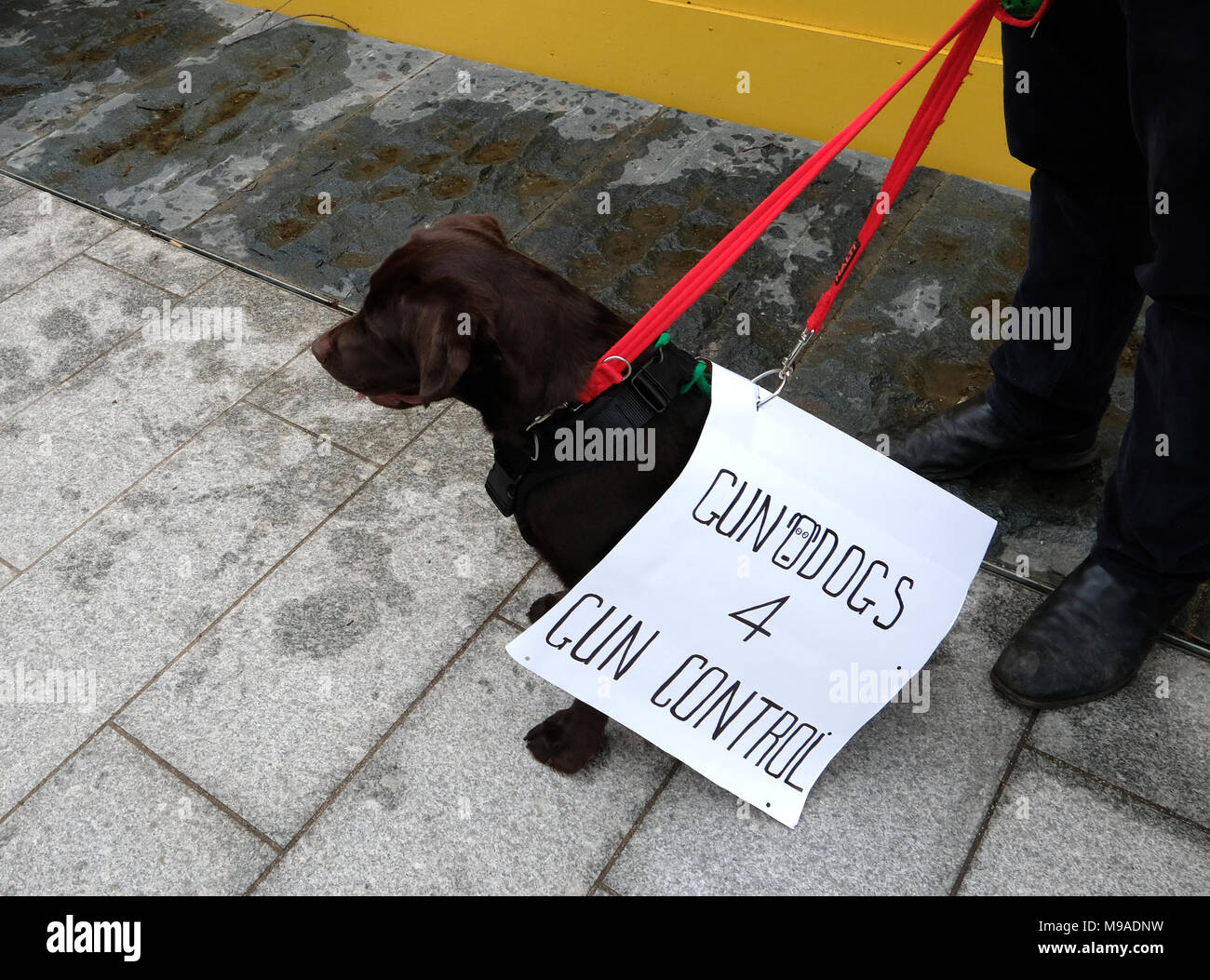 London, UK. 24th march, 2018. Rally outside the US Embassy in London on ...