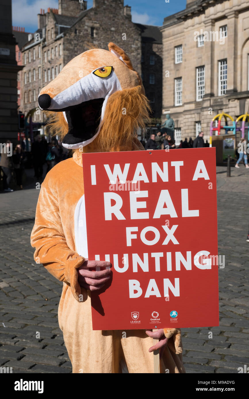 Anti fox hunting hi-res stock photography and images - Alamy