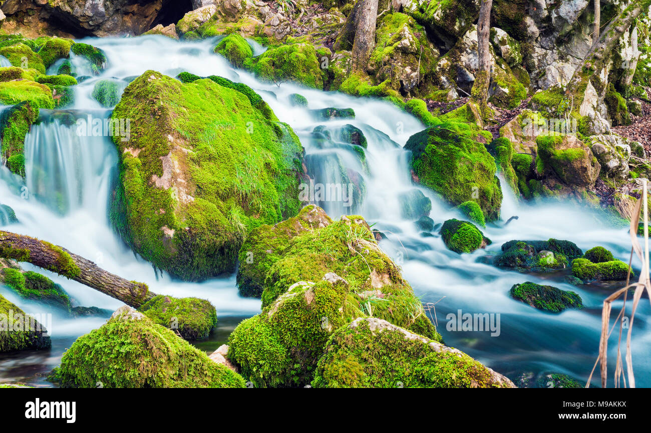 Springs and waterfalls of river Grza Stock Photo - Alamy