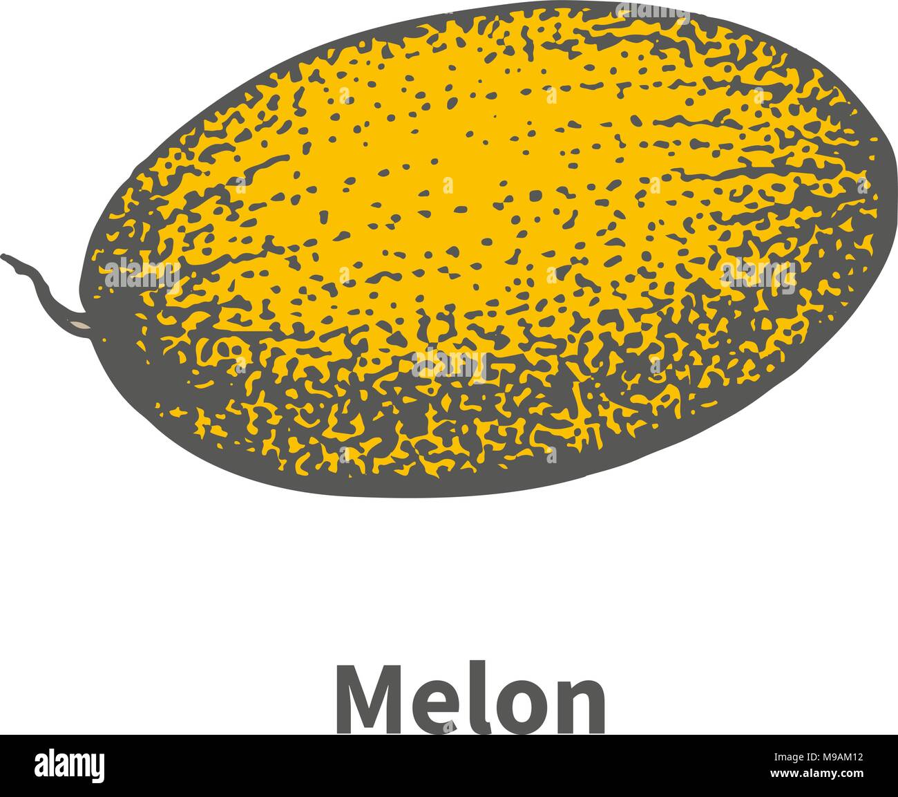 Vector hand-drawn single juicy ripe yellow melon Stock Vector Image ...