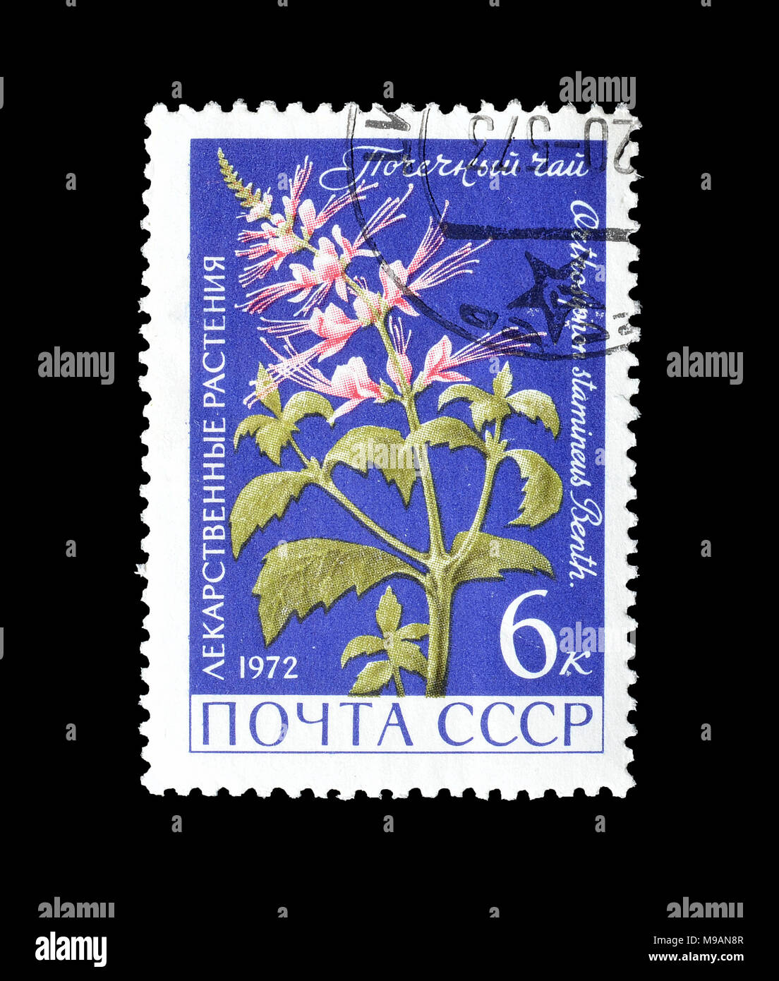 Cancelled postage stamp printed by Soviet Union, that shows Java tea ...