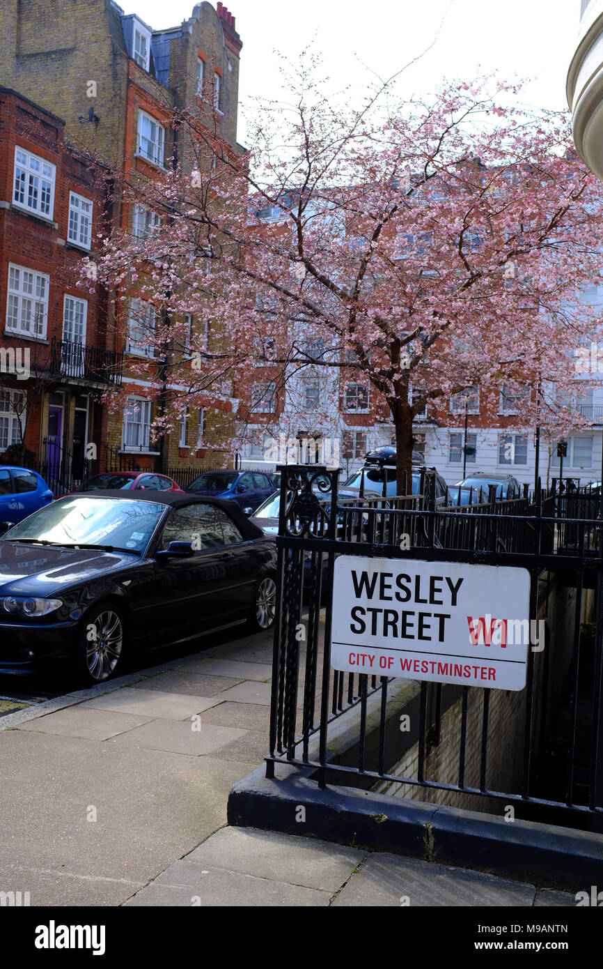 Wesley Street - London W1 Stock Photo - Alamy