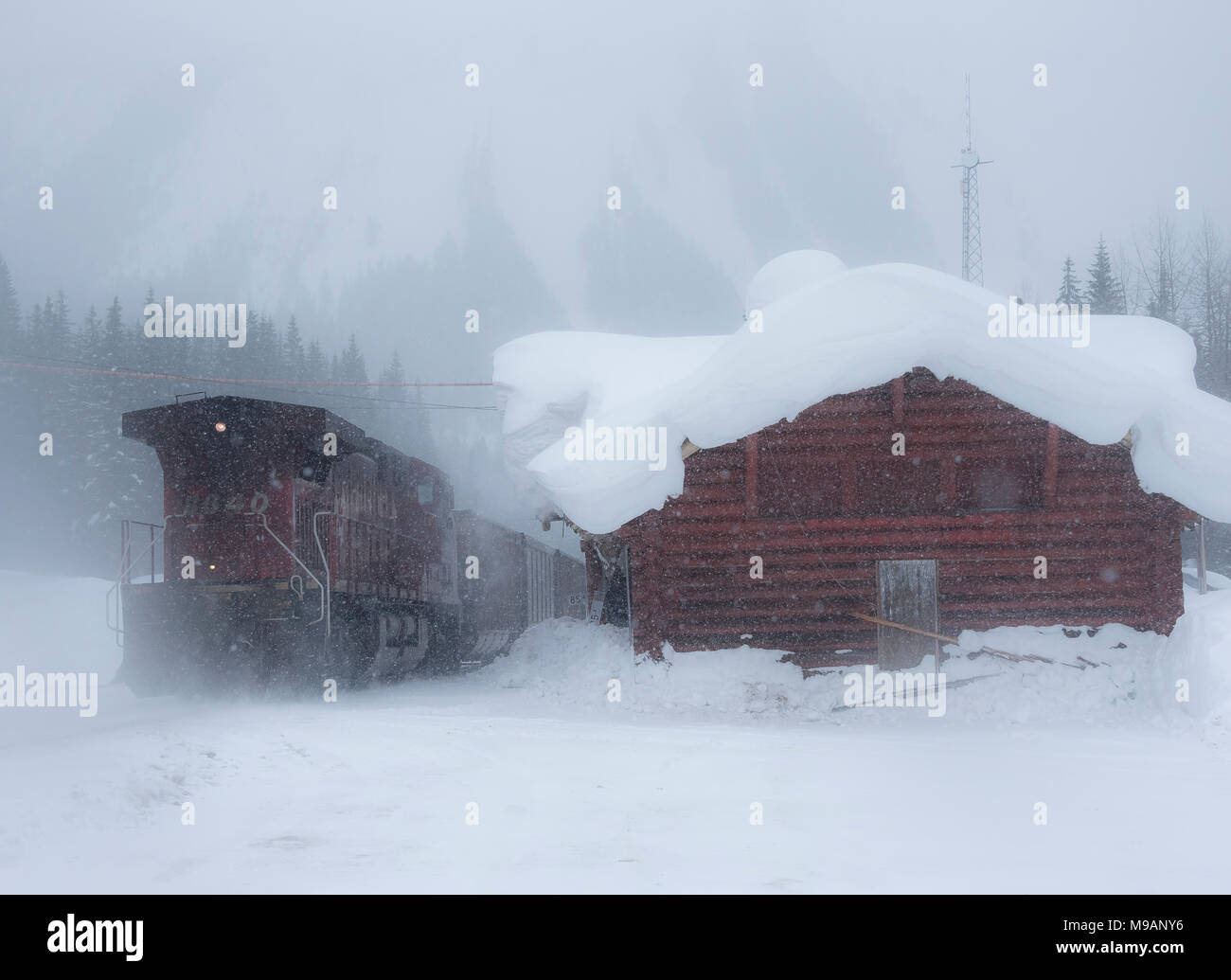 Cpr Loco 8640 Pushes Coal Train Eastbound Past Rogers Pass Glacier Station In Falling Snow Bc