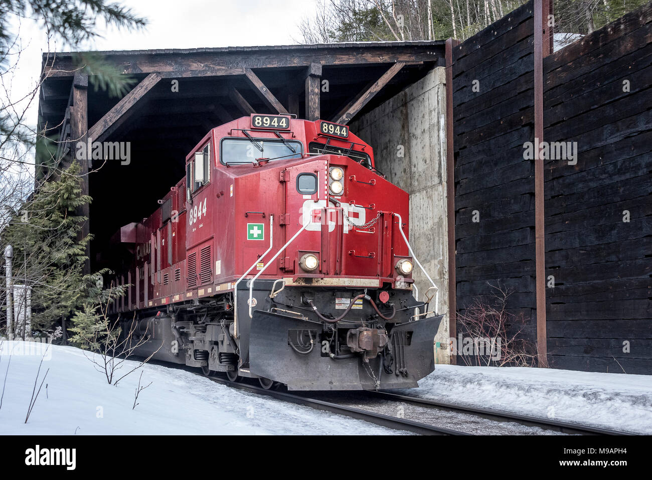 CPR potash train led by loco 8944 in winter emerges from wooden snow ...