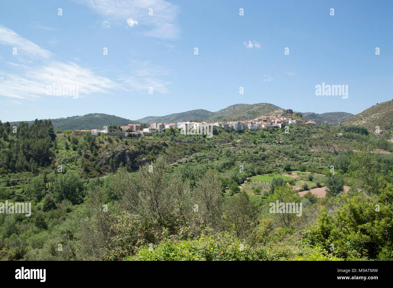 Bejis hi-res stock photography and images - Alamy