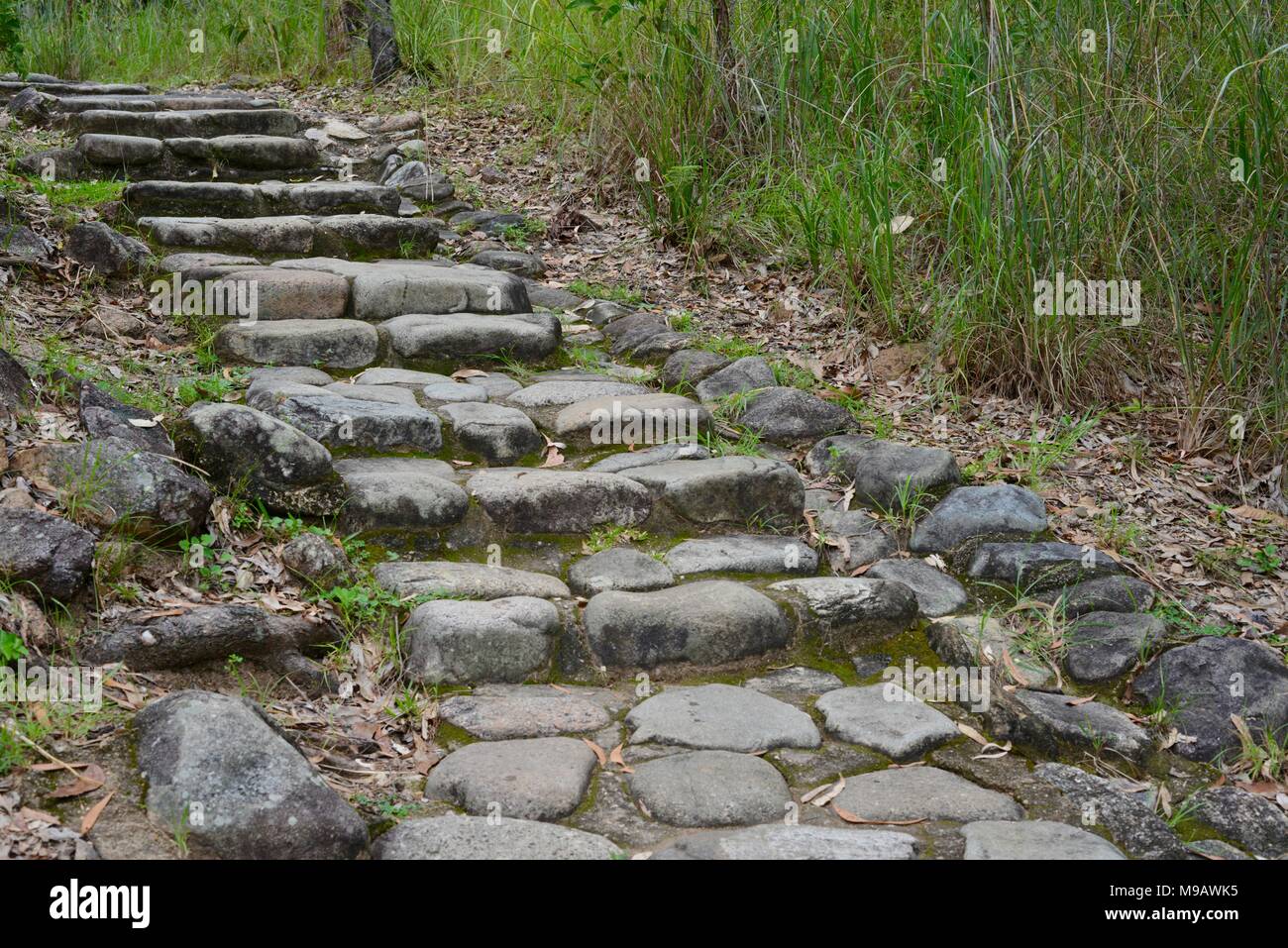 Stone steps on the way to paradise waterhole hi-res stock photography ...