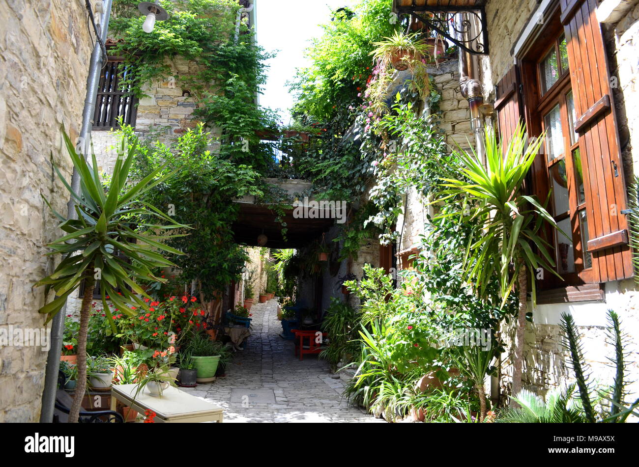 Greek plant hi-res stock photography and images - Alamy