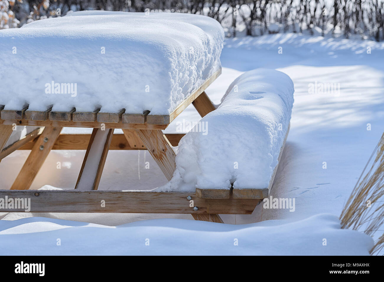 Snow covered picnic table Stock Photo - Alamy