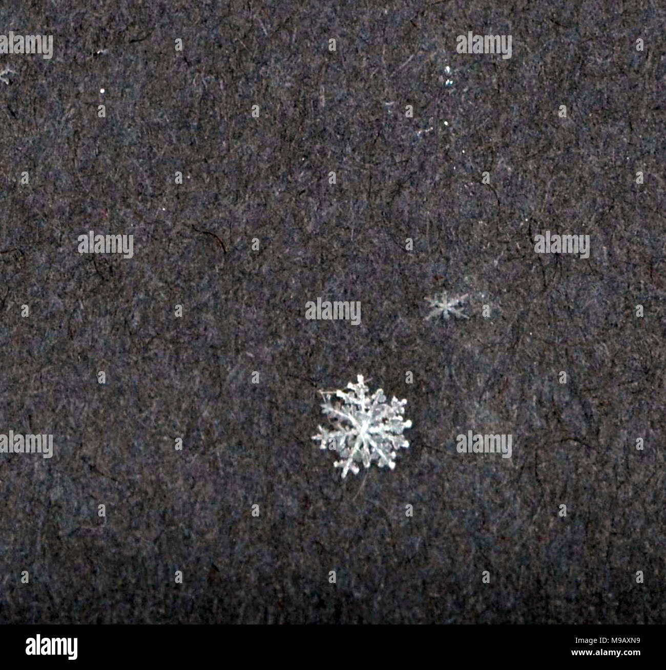 Stellar snowflake hi-res stock photography and images - Alamy