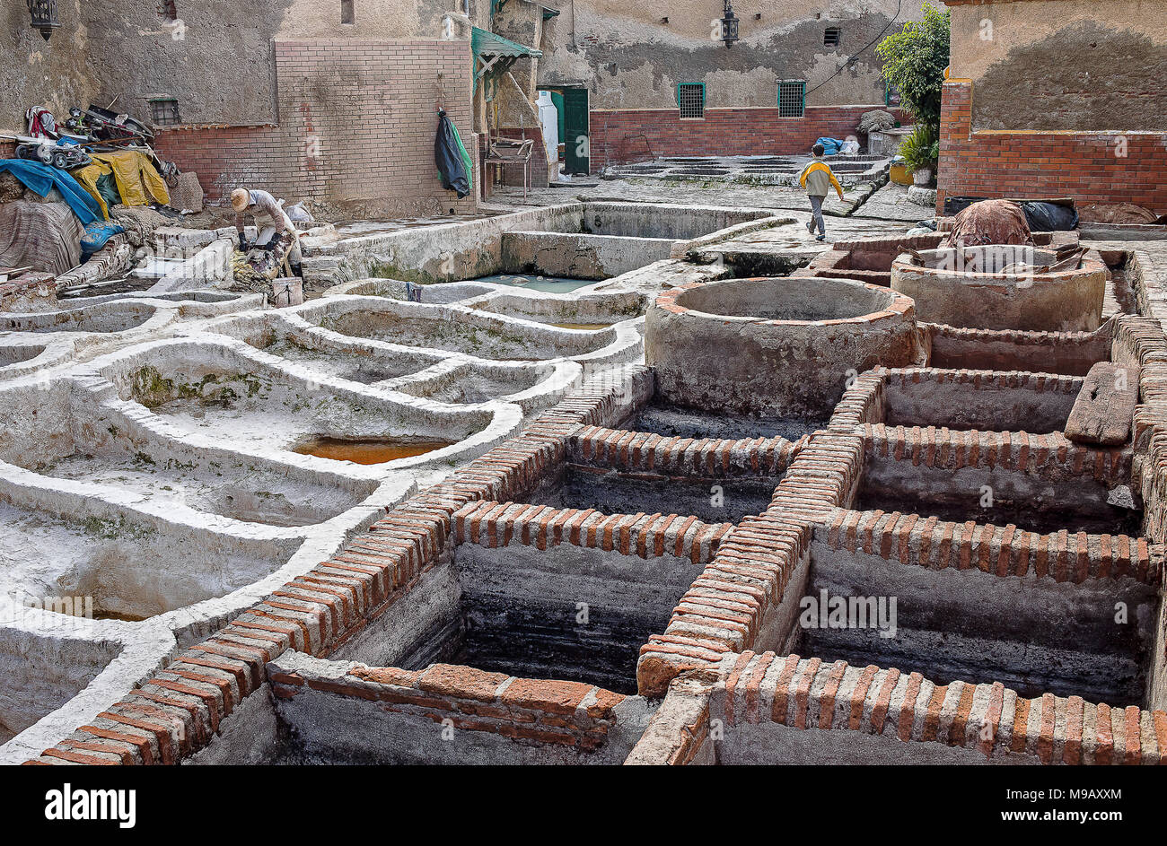 Man tanning skin, tannery, medina, UNESCO World Heritage Site,Tetouan ...