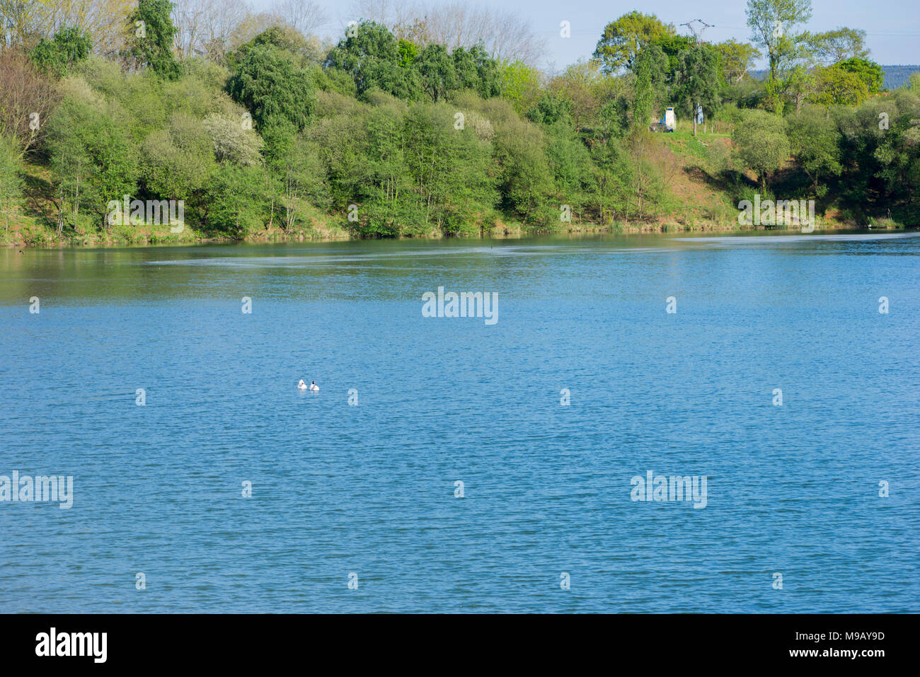 The holly pit in Cabarceno, Cantabria, Spain Stock Photo - Alamy