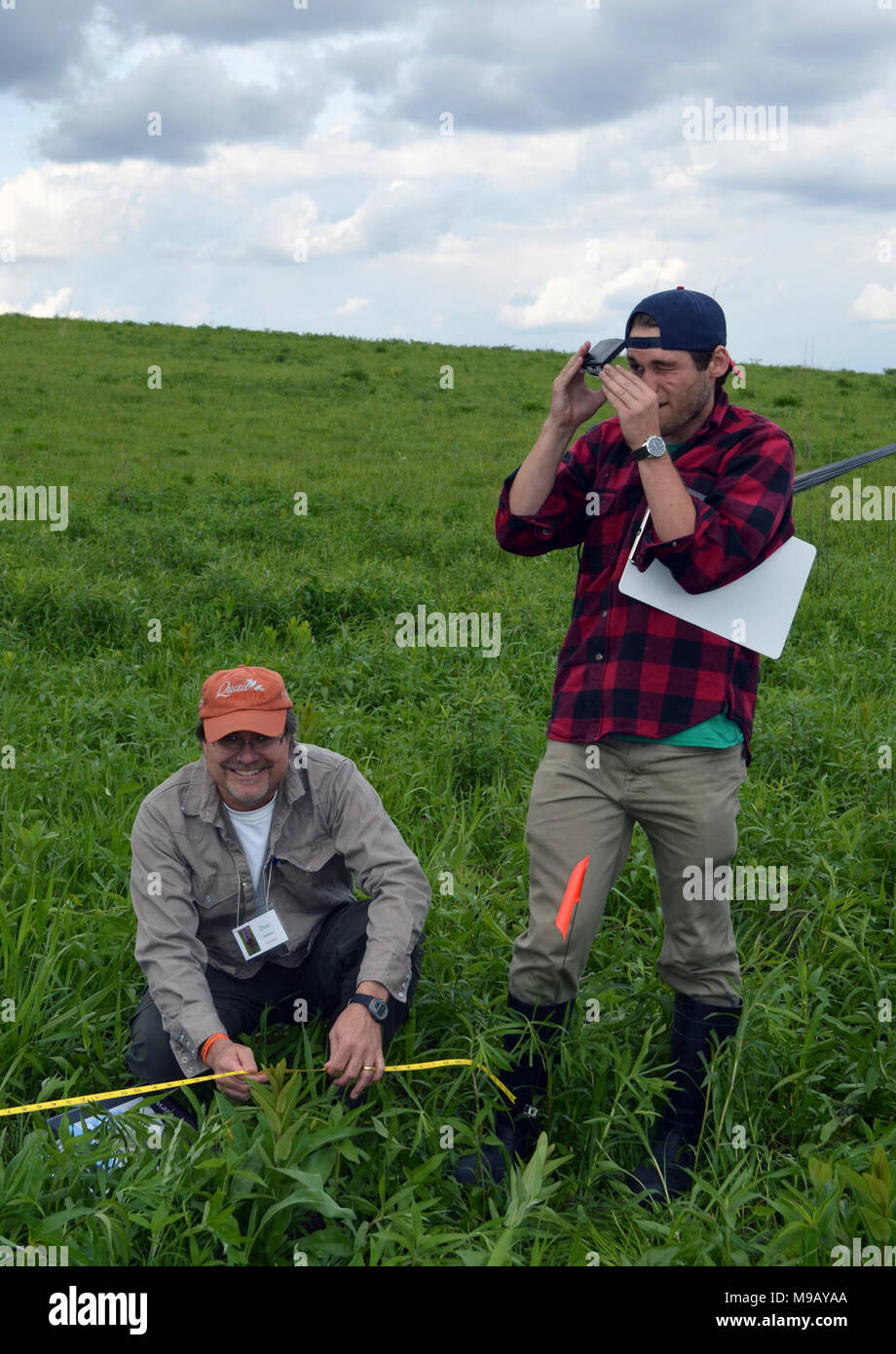 Monarch science hi-res stock photography and images - Alamy