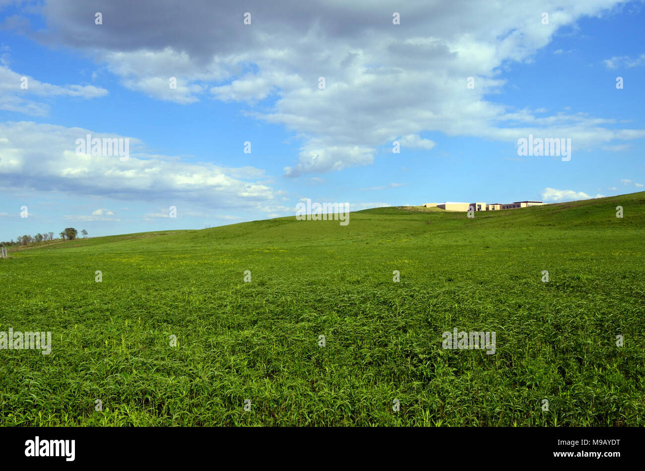 The prairie of Iowa Stock Photo - Alamy