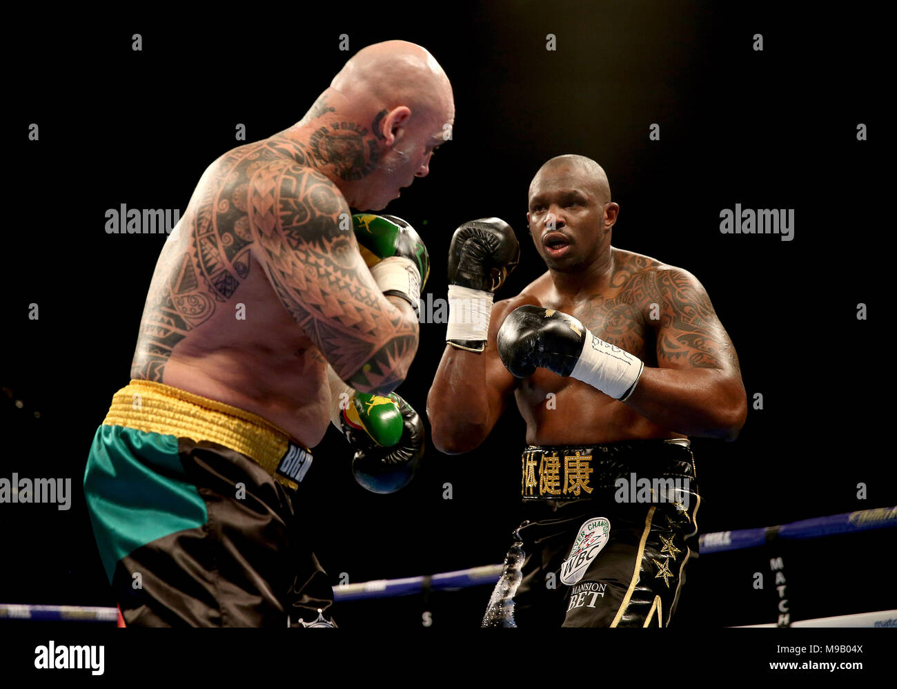 Lucas Browne (left) in action against Dillian Whyte in the WBC Silver ...