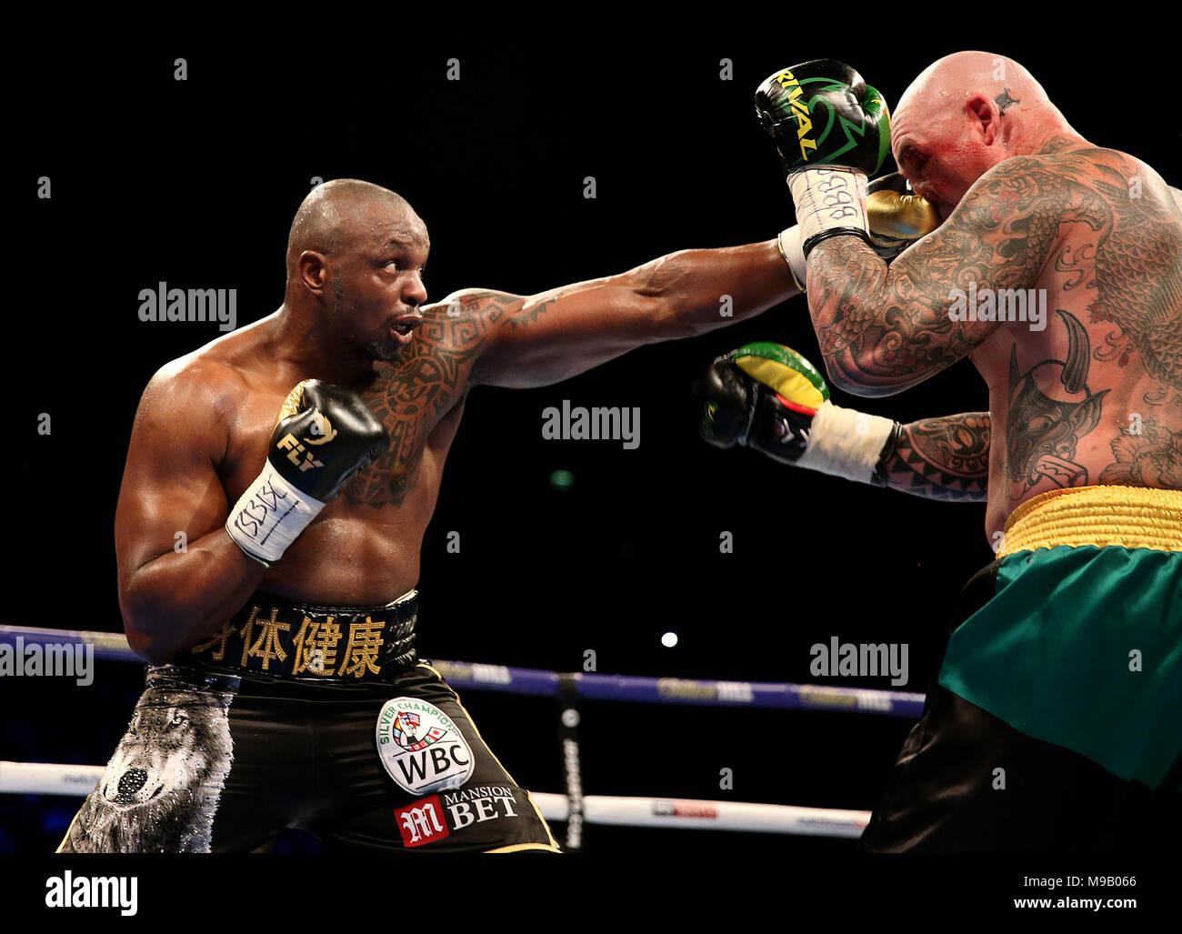 Lucas Browne (right) in action against Dillian Whyte in the WBC Silver ...